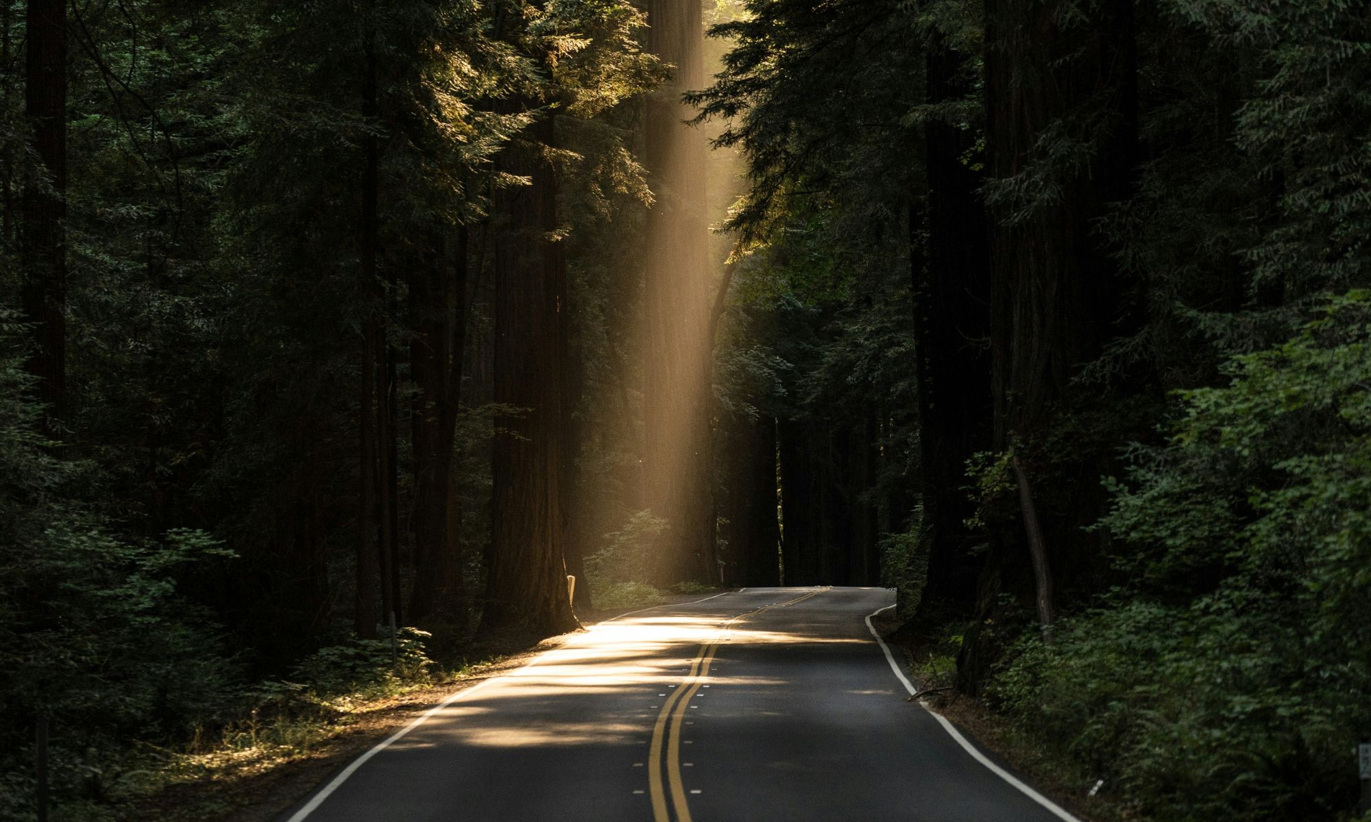 Where God Guides, He Provides – Bible Verse & Meaning